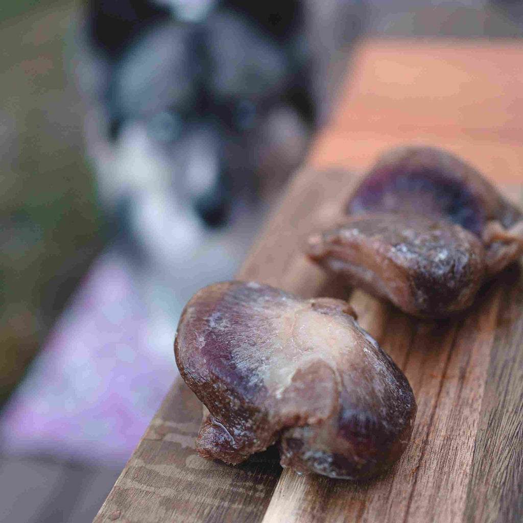 Raw Frozen Treat Pack | Natural Chews Delivered | RawFedK9